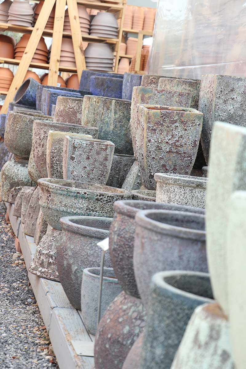 Plant Pots & Containers | Louisiana Nursery